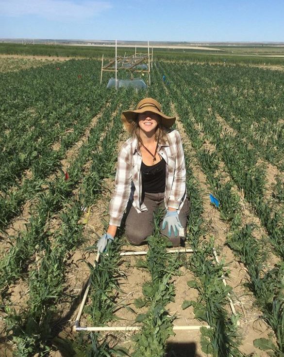 Meet The Team - Dillon Distributors